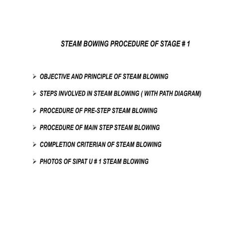 steam_blowing.pdf