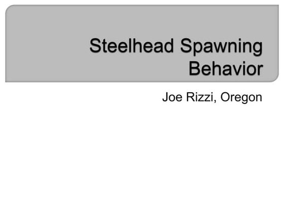 Fishing Indian River Lagoon | PPT