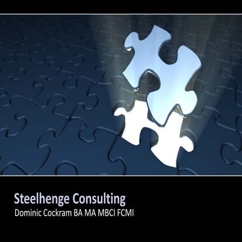 Steelhenge Consulting An Overview | PDF