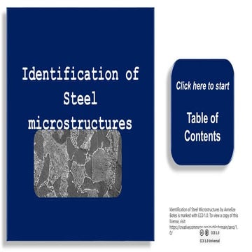 Identification of steel microstructures - Activity | PPTX