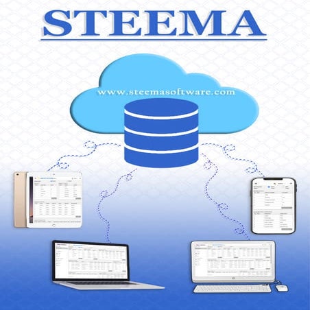 Steema Software Pvt. Ltd. Services | PDF