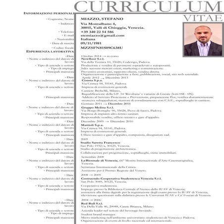 Stefano Miazzo_cv-ita | PDF