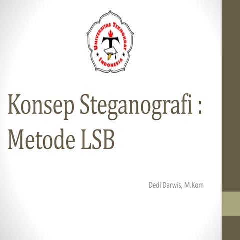Stegano 2 (LSB( | PDF