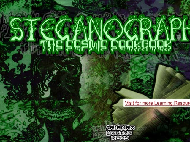 Presentation On Steganography | PDF