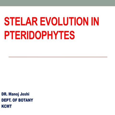 Stelar System, Stele, its types and evolution | PPTX