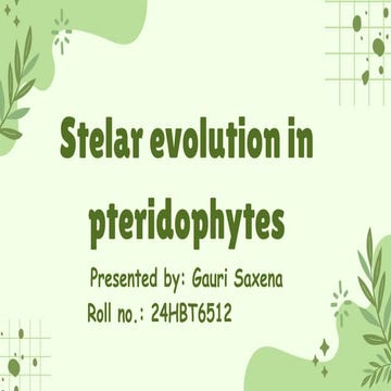 Stelar System, Stele, its types and evolution | PPTX