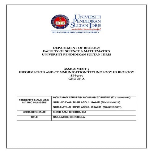 Simulation ON Stella Report | PDF