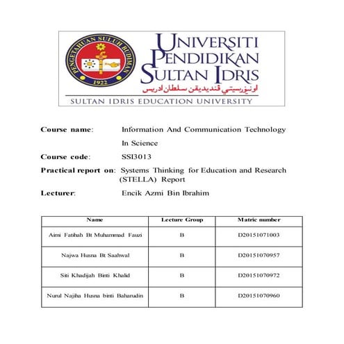 Simulation on Stella Full Report | PDF