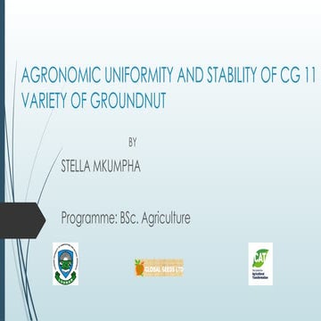 Stella Mkumpha PPT for CAT on 8th January 2024_070742 - Copy.pptx