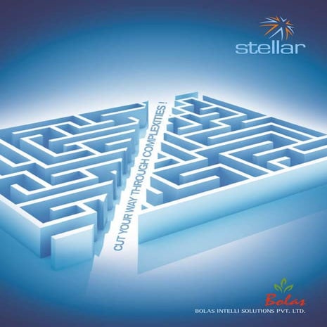 Stellar ebrochure | PDF | Business | Business and Finance