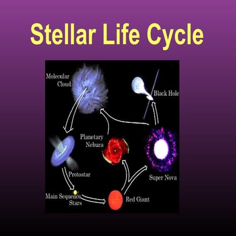 Stellar life cycle section 3 | PPT