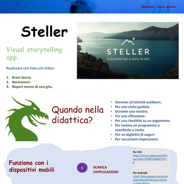 Steller | PDF