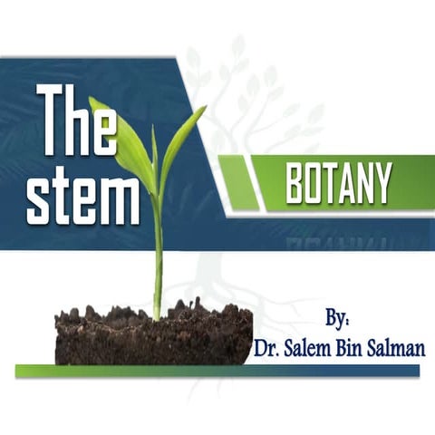 Types of stem by Sarah Ashfaq , Botanist | PPTX