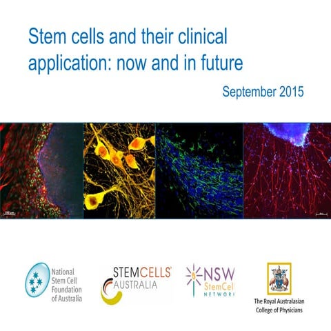 stem-cell-1.pptx presentation for students | PPTX