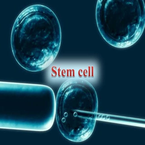 Stem cell and gene therapy | PDF