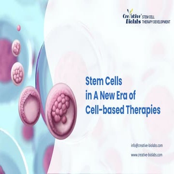 Stem Cells in A New Era of Cell based Therapies - Creative Biolabs | PPTX