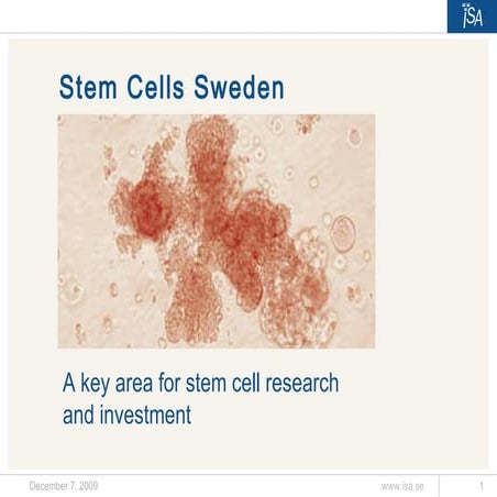 Stem Cells Sweden | PPT