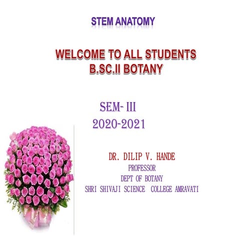 Anatomy of stem,root and leaf of rice | PPTX