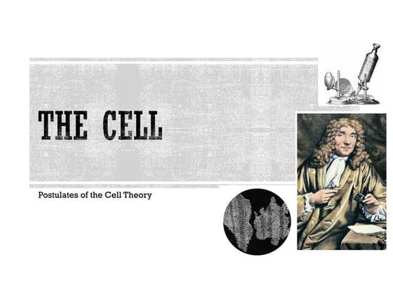 The Cell, Postulates of the Cell Theory. | PPTX