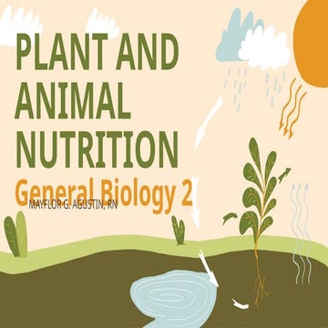 plant and animal nutrition..........pptx