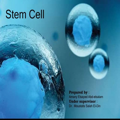 Stem Cell | PPTX