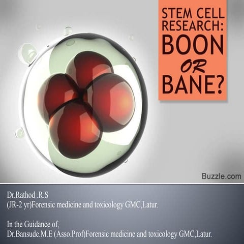 Stem cell research boon or bane | PPTX