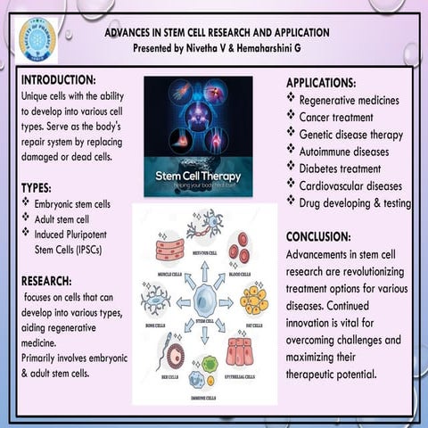 stem cell.pptx fsa bhkkoocwawwer stem cell ppt xzksiwoowowo | PPT