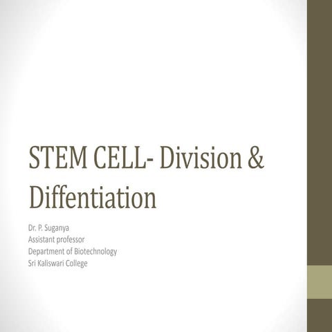 Stem cell division & diffentiation | PPT