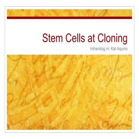 Stem Cell | PPTX