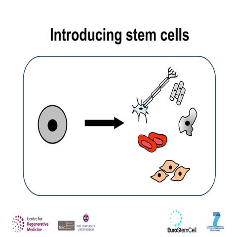 introducing of stem cell classification and biology 1.ppt