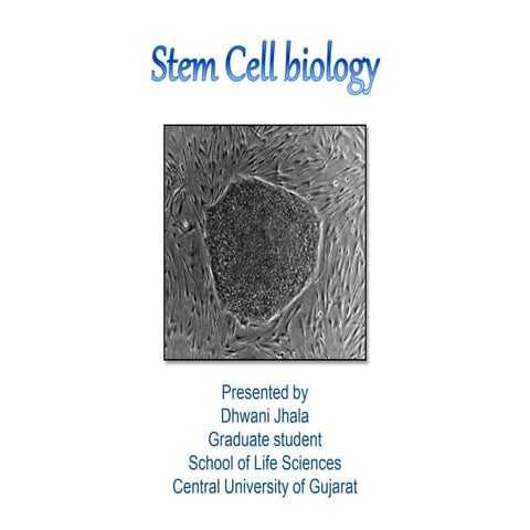 Stem cell biology | PPTX