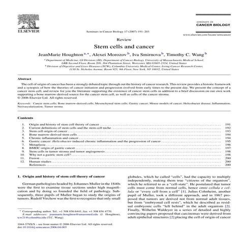 cancer stem cell : challenge in cancer treatment.pdf