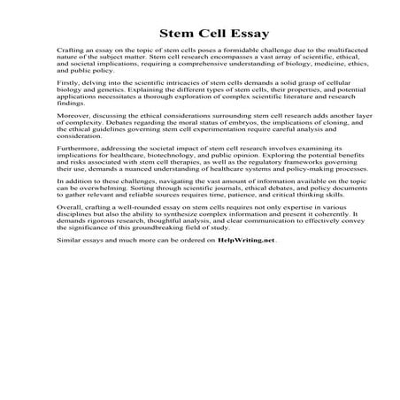 Stem Cell Essay | PDF