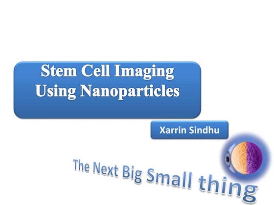 Microscopy in Stem Cell Research: Unlocking New Dimensions of Cellular Imaging | PDF
