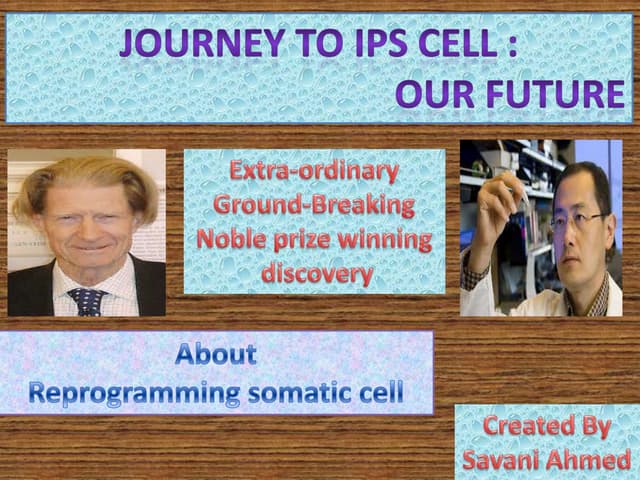 Induced pluripotent stem cells | PPT | Genetics | Science