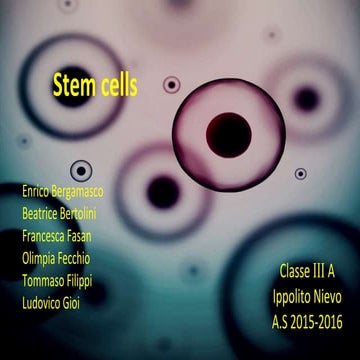 Stem cells | PPT