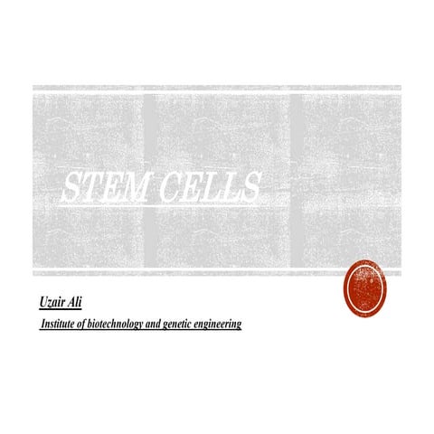 Stem cells | PPT