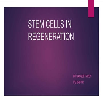Stem cells in regeneration | PPTX