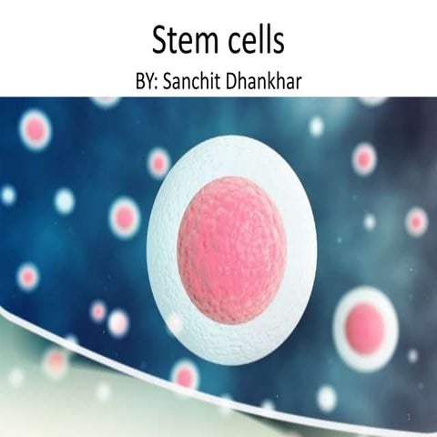 Stem cells (Biotechnology) | PPTX