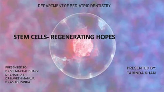 Stem cells | PPTX