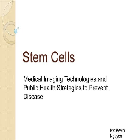 Stem cell technology | PPTX