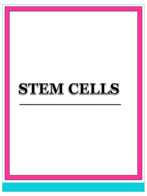 What are stem cells? An introduction to different types of stem cells. | PDF | Biological ...
