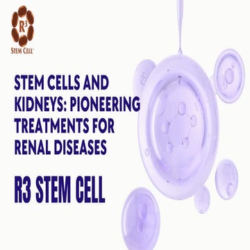 Stem Cells and Kidneys: Pioneering Treatments for Renal Diseases | R3 ...