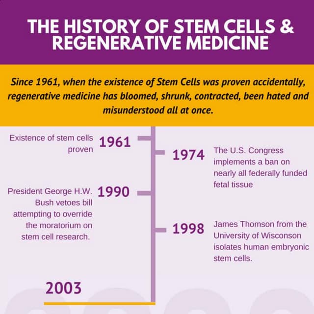 History of Stem Cells | PDF