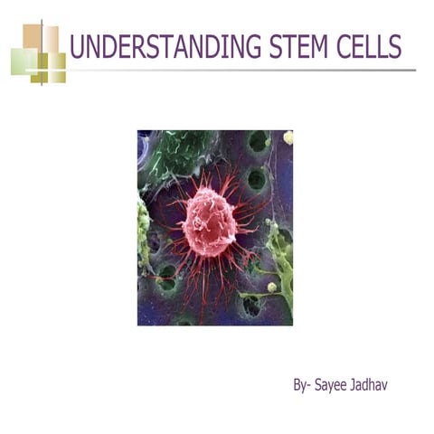 Stem Cells L | PPT | Free Download