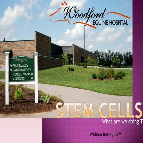 Stem Cells Power Point Baker 2pdf | PDF