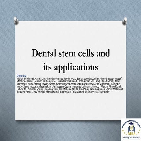 stem cells ppt (1).pptx