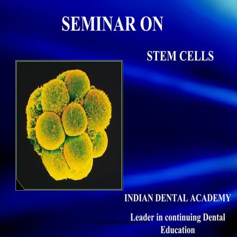 Stem cells / dental courses | PPT
