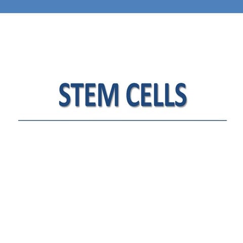 Stem cells | PPT