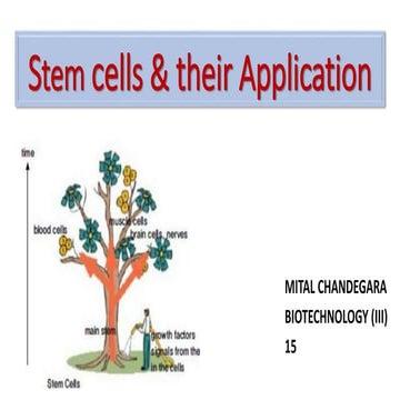 Stem cells & its application | PPTX